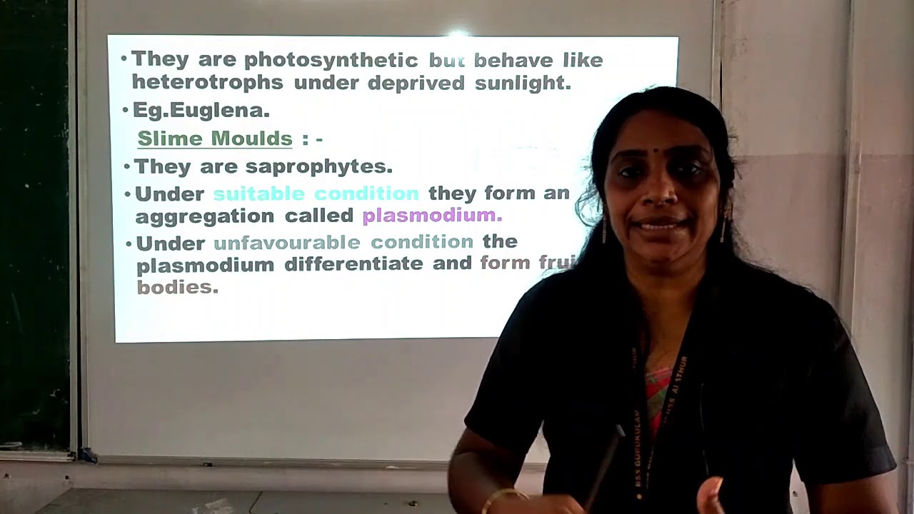 Class 11 Botany Chapter 01 Biological classification - Part 03 - YouTube