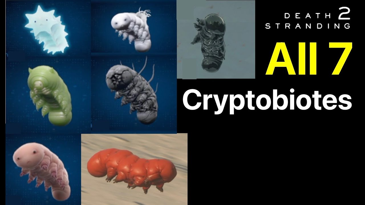 Death Stranding 2: All 7 Cryptobiotes (Necrobiote, Chlorobiote ...