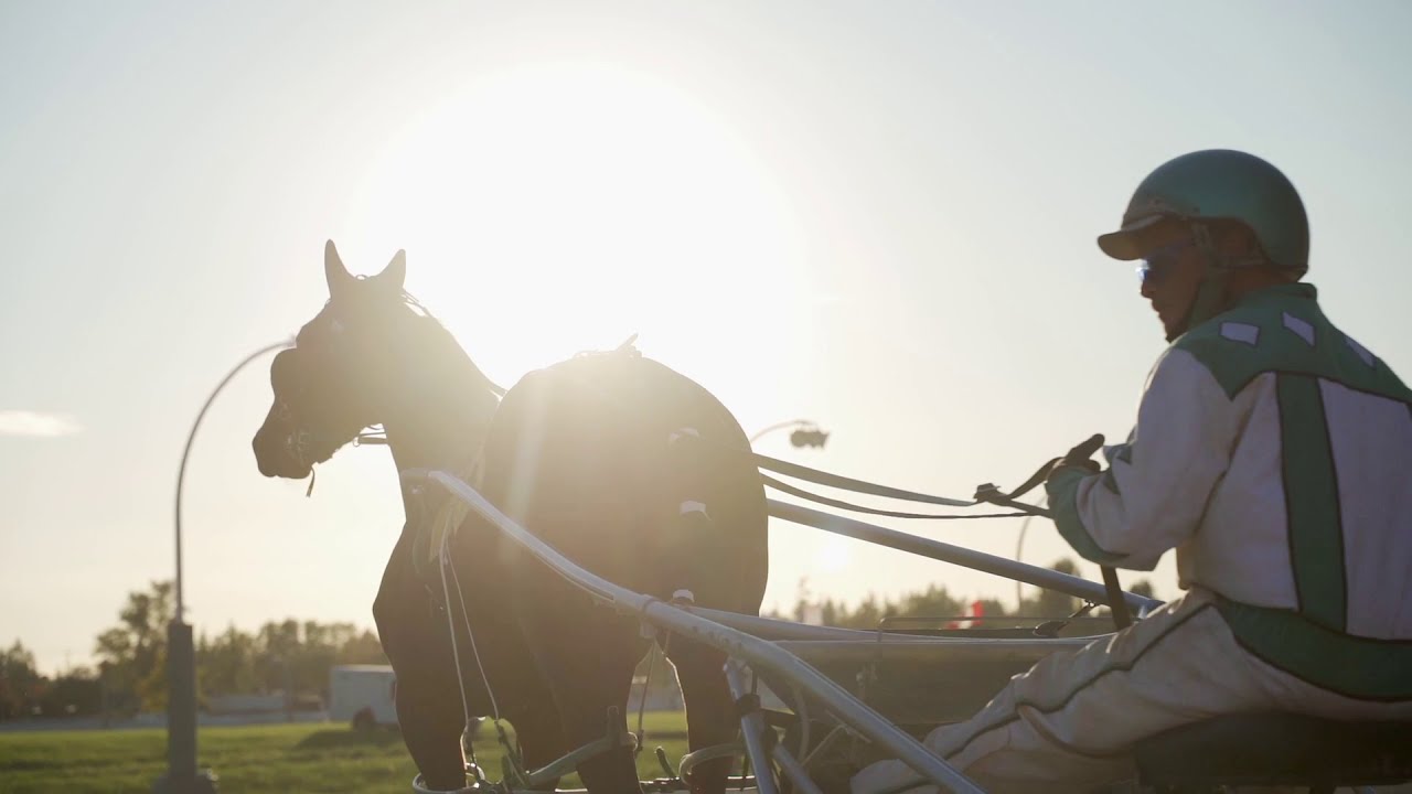 Welcome to Fraser Downs - YouTube