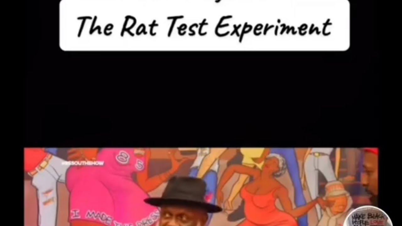 THE PROJECTS THE RAT TEST EXPERIMENT 🧫 🐀🧪 - YouTube