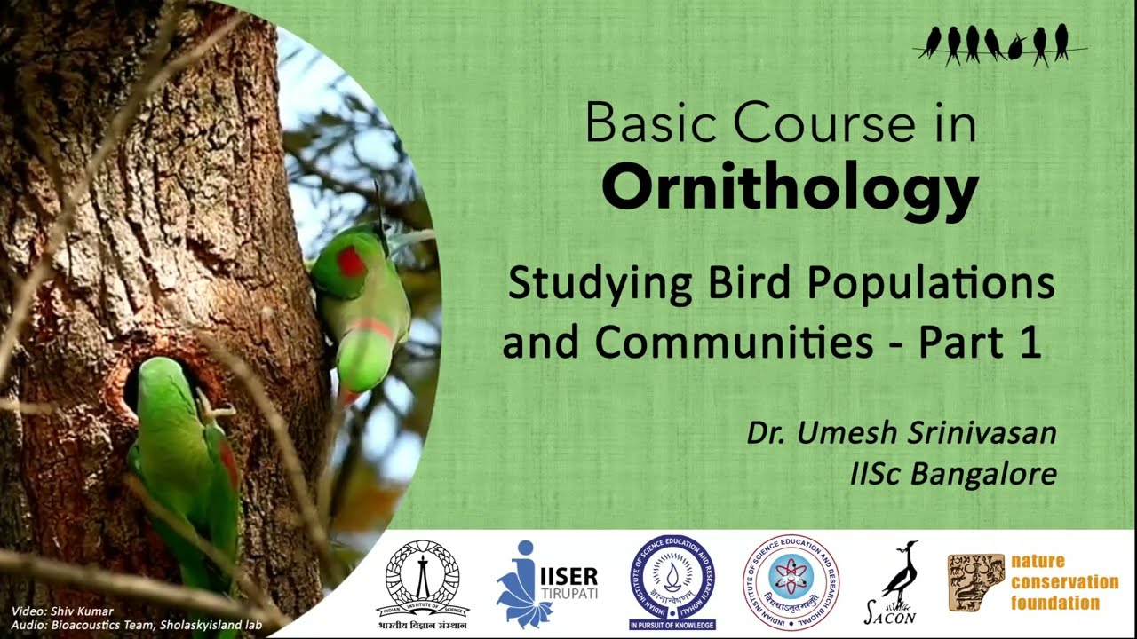 Studying bird populations and communities Part 1 - YouTube