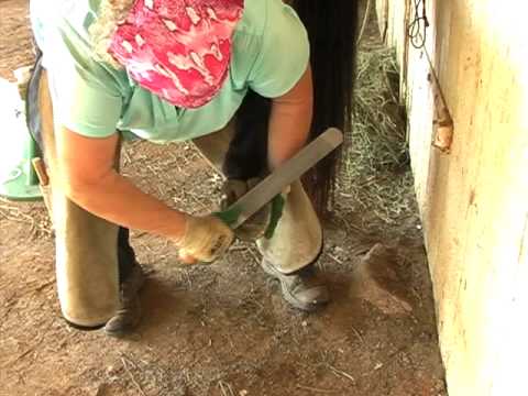 Intro to hoof trimming for the horse owner, Part 3 of 3 - YouTube