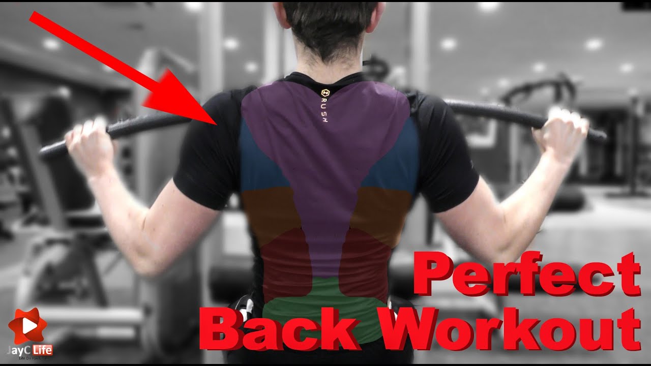 PERFECT BACK WORKOUT - YouTube