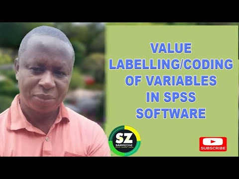 Understanding the Properties of SPSS Software and Value Labelling ...
