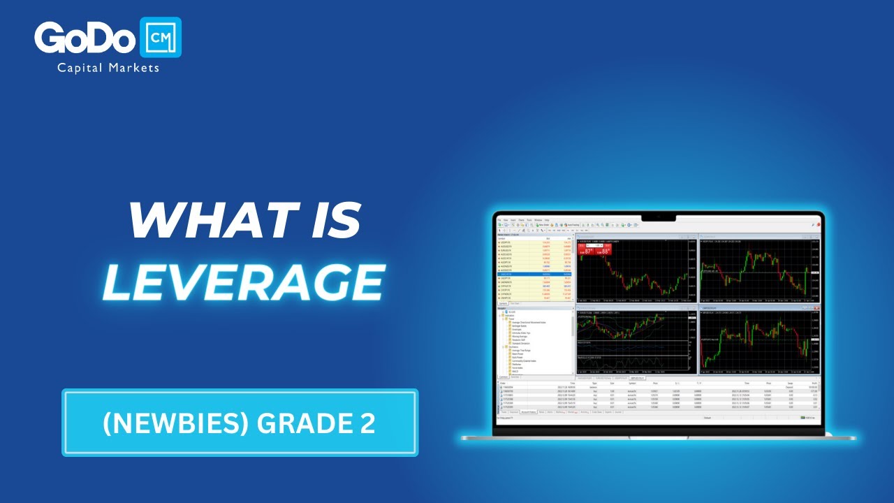 Lesson 17 : What is Leverage - YouTube