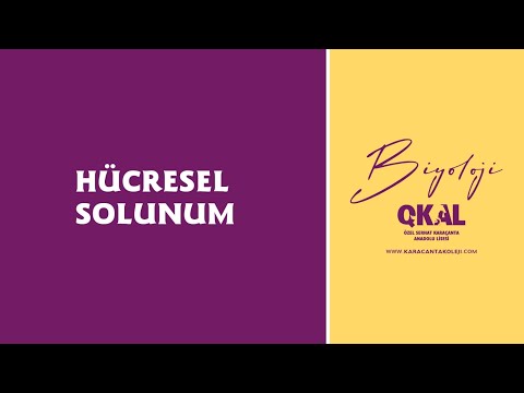 HÜCRESEL SOLUNUM VE FERMANTASYON