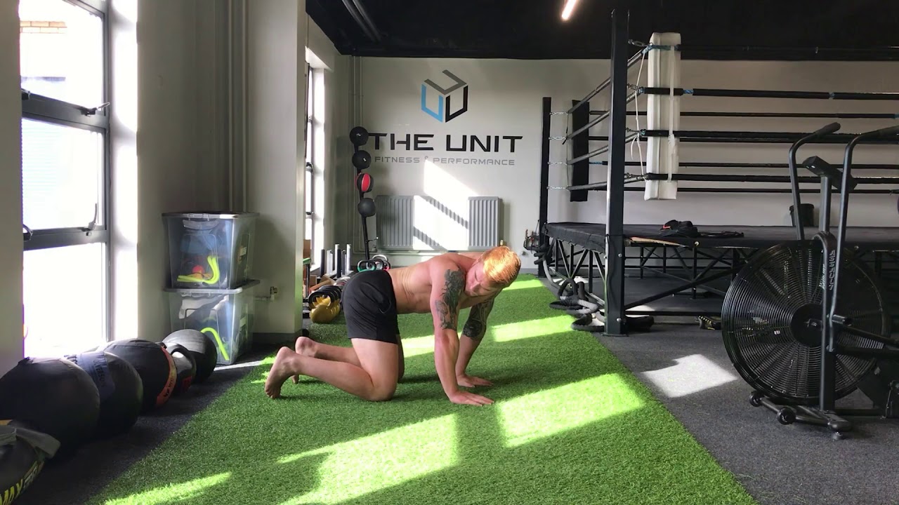 Spinal Segmentation. Back Mobility. Spine Rehab. - YouTube