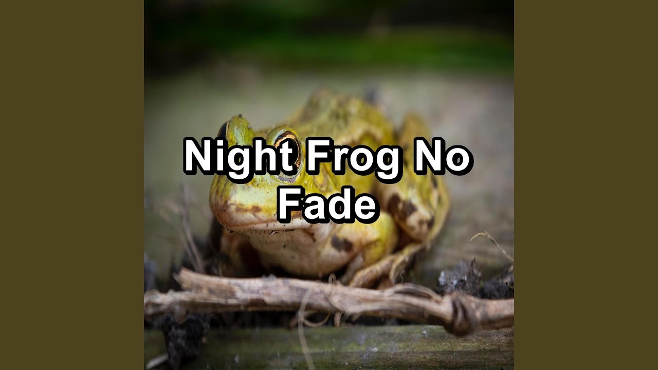 Sound of Frogs Marsh - YouTube