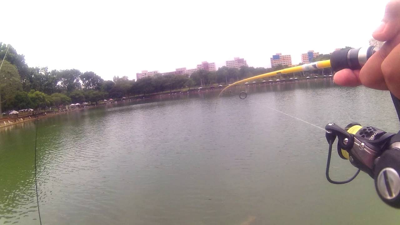 DBEST Pasir Ris Fishing Pond 8 October 2016 - 8th Fish - YouTube