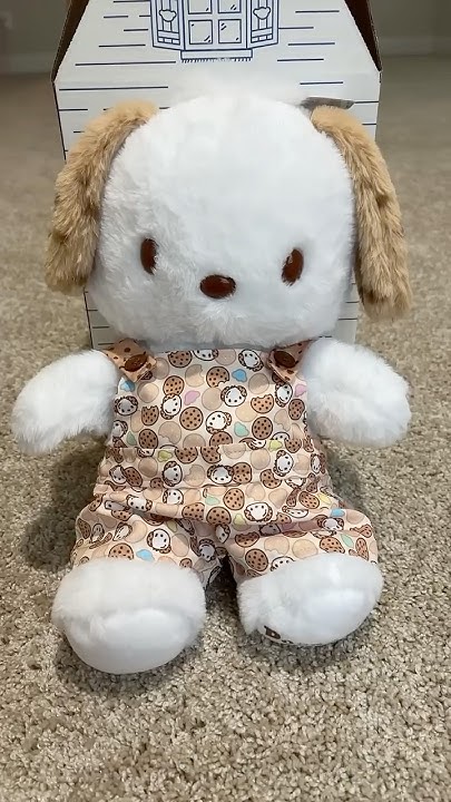 Chocolate Chip Pochacco Build a Bear 🍫 #sanrio #hellokitty #buildabear #viral #shortvideo - YouTube