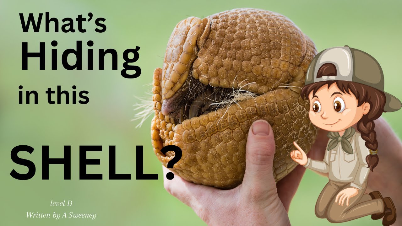 What’s Hiding In That SHELL - READ ALOUD - YouTube