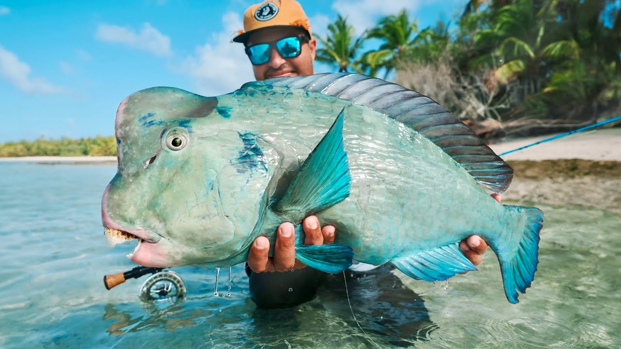 I Caught An Extremely RARE Fish EP.2 - YouTube