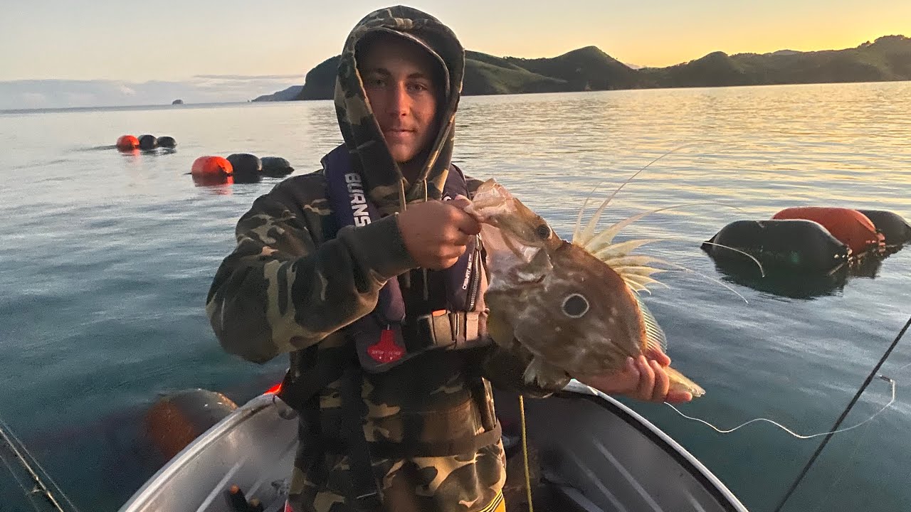 Fishing Coromandel mussel farms - YouTube