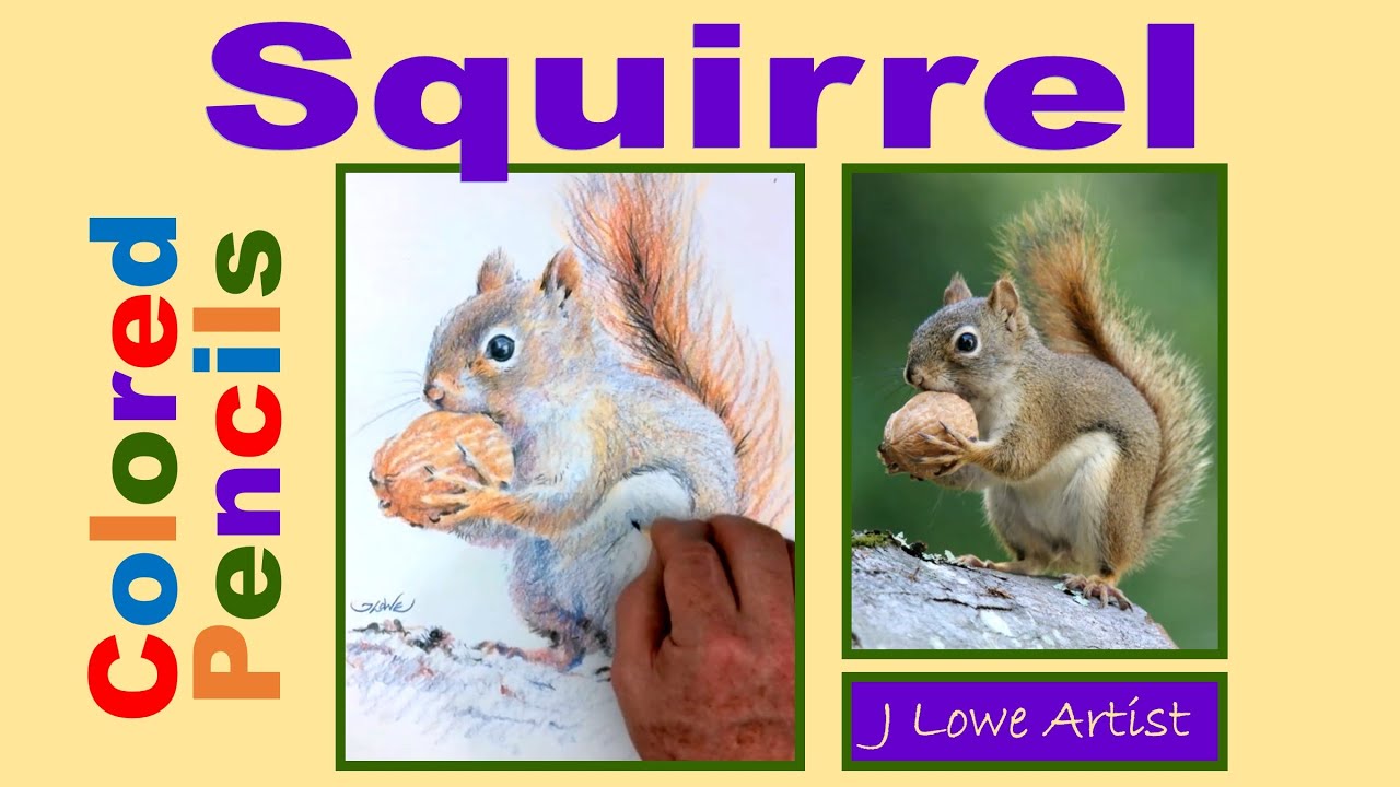 HOW TO DRAW A SQUIRREL WITH COLORED PENCILS Step by Step - YouTube