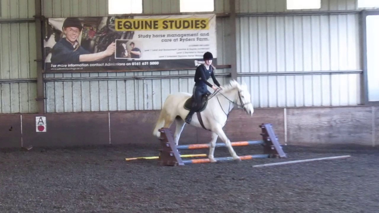 Jumping Lucy at Ryders farm- mini course :) - YouTube