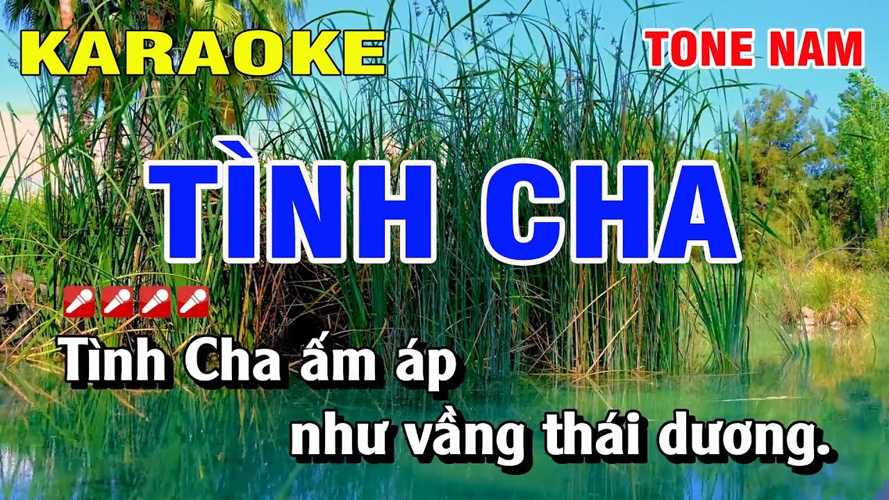 Karaoke Tình Cha Tone Nam Nhạc Sống Hoàng Luân Youtube