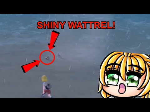 Shiny Reaction | SHINY WATTREL in Pokemon Scarlet + Violet! - YouTube