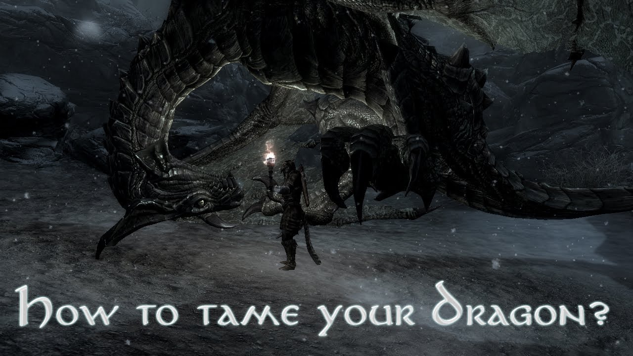 Skyrim Dragon Taming? - YouTube
