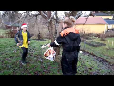 Live Ellens 13:e Födelsedag