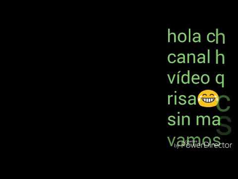 Él mapache con él algodón de azucar - YouTube