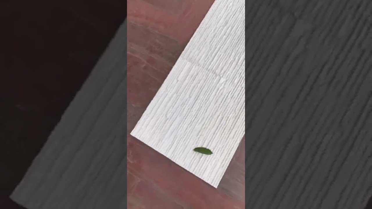 Phomi Econic Clay Outdoor Wall Cladding Infiniti Stone - YouTube