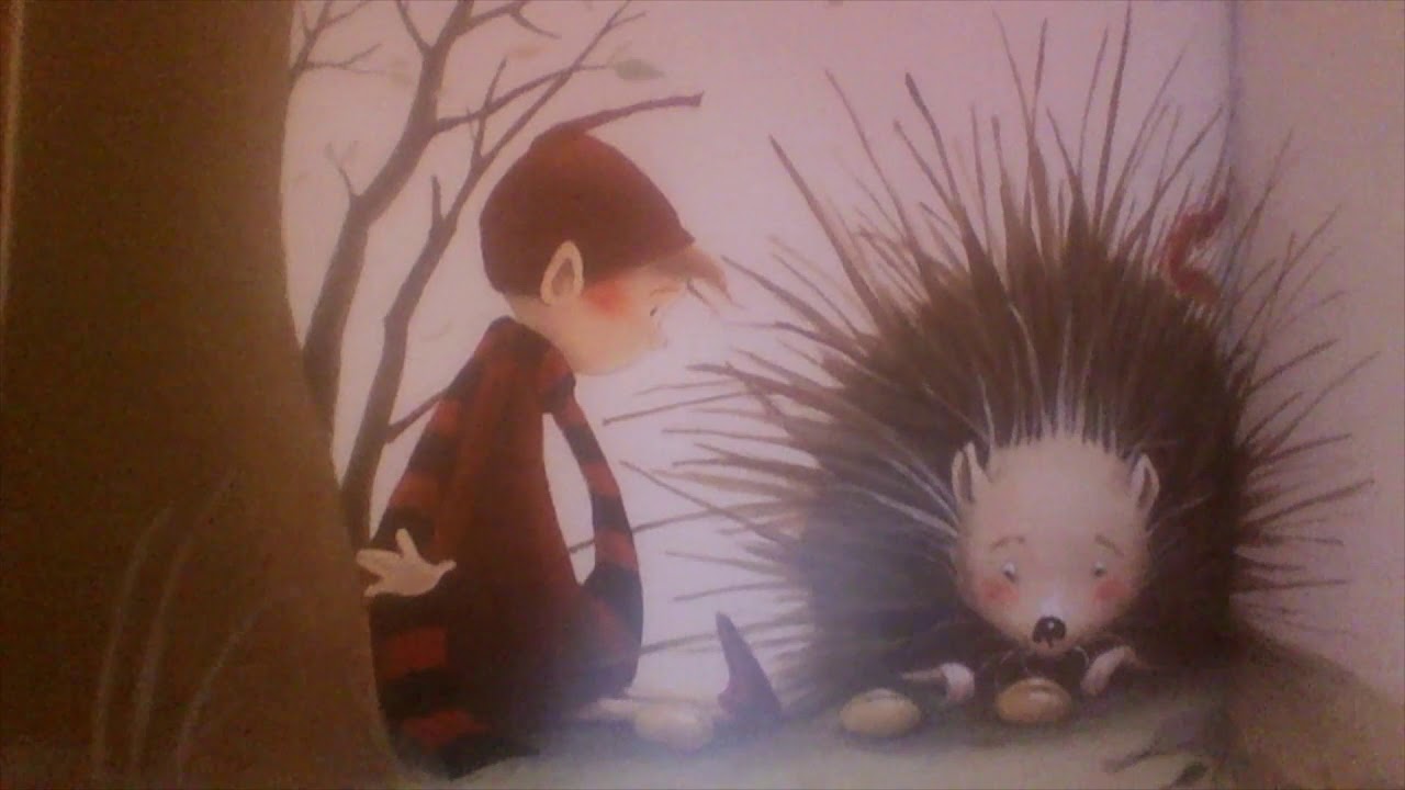 Bonhomme et le fil rouge ! Une douce histoire pour s'endormir 🦔, avec ...