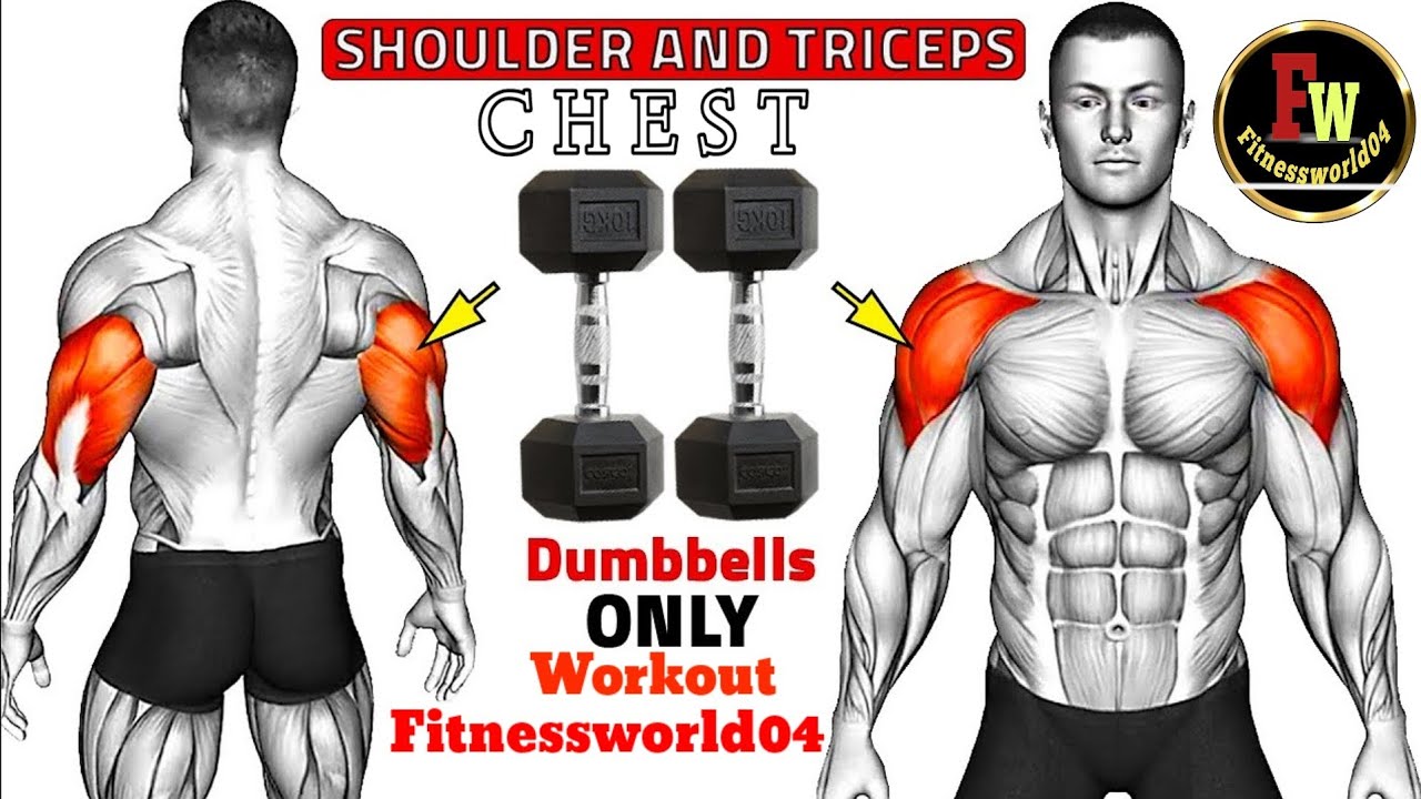 Dumbbells Workout, Biceps, Chest, Triceps, Back Olney Dumbbells ...