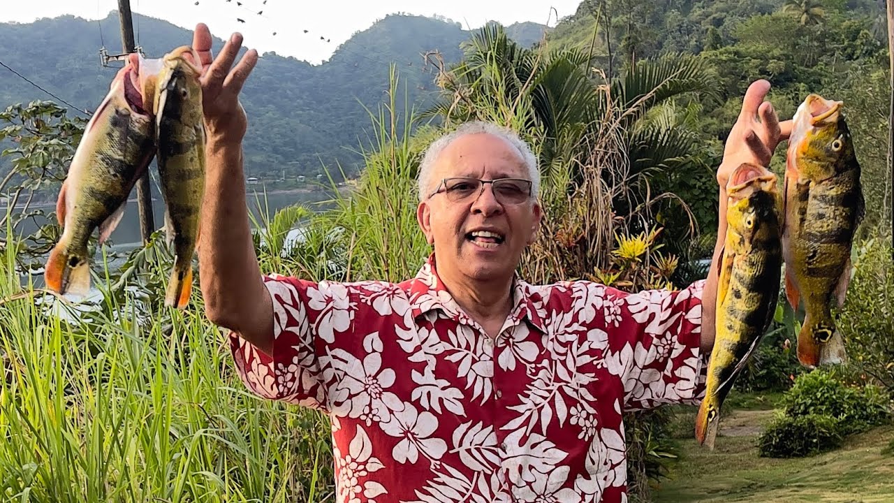 El Campo Más Bonito En Utuado Puerto Rico - YouTube