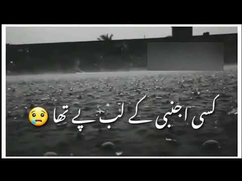 Il MURSHAD II NEW BEST FELLING LIENS STATUS NEW WHATSAPP STATUS 2020
