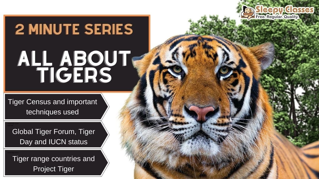 2 Minute Series: Tiger Census || Global tiger Forum || Tiger Range ...