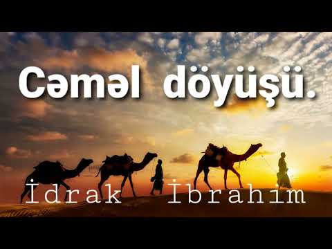 Cəməl  döyüşü.