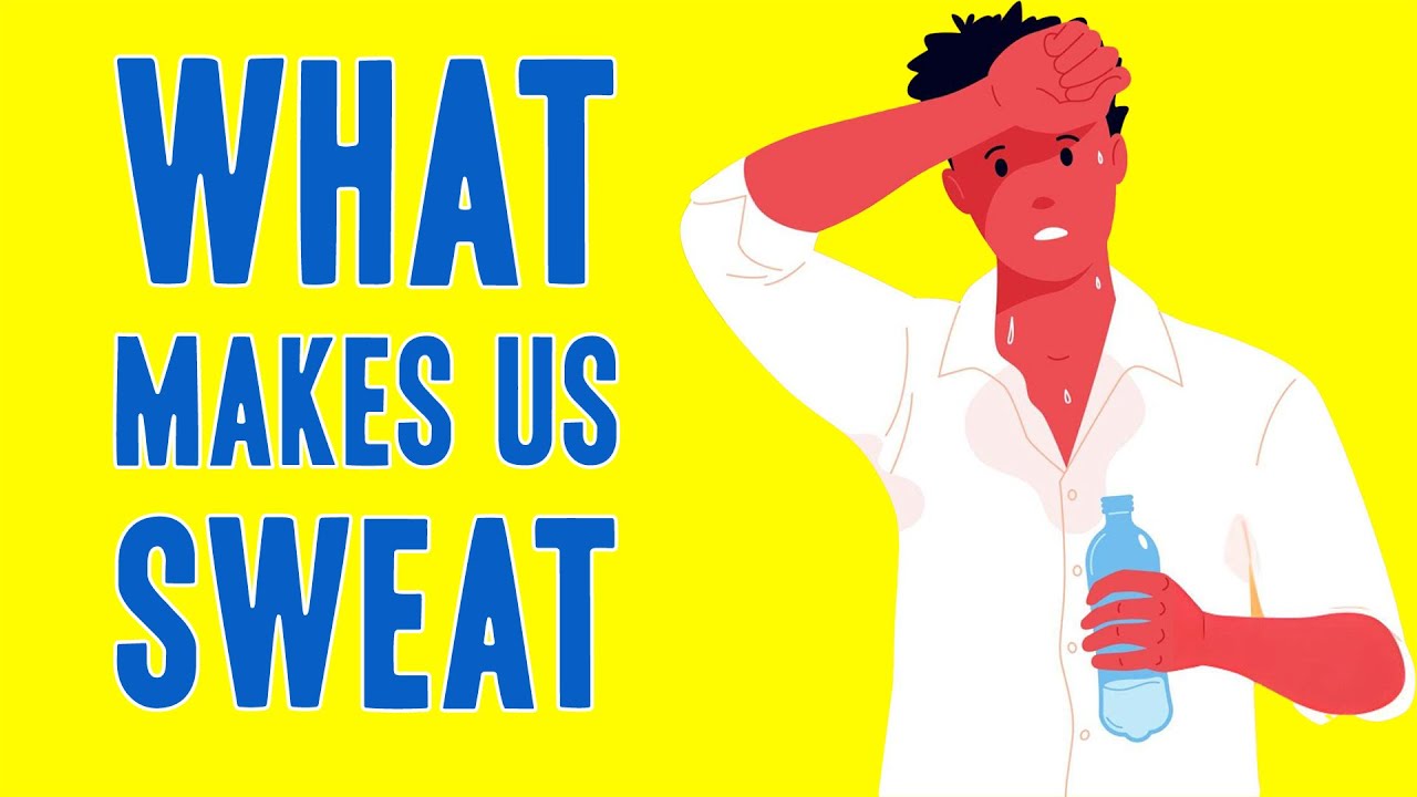 What Makes Us Sweat (Explained) - YouTube