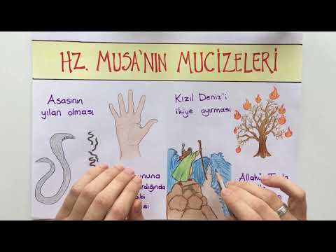 Hz. Musa (a.s.) & Ayet'el Kürsi ve Anlamı | 8. Sınıf Din Kültürü LGS'ye Hazırlık