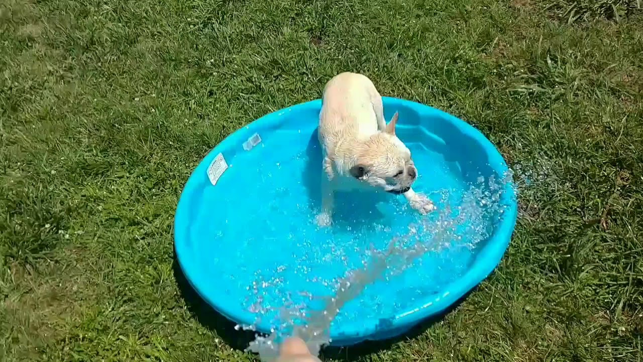 Lilly happy with her pool party for one - YouTube
