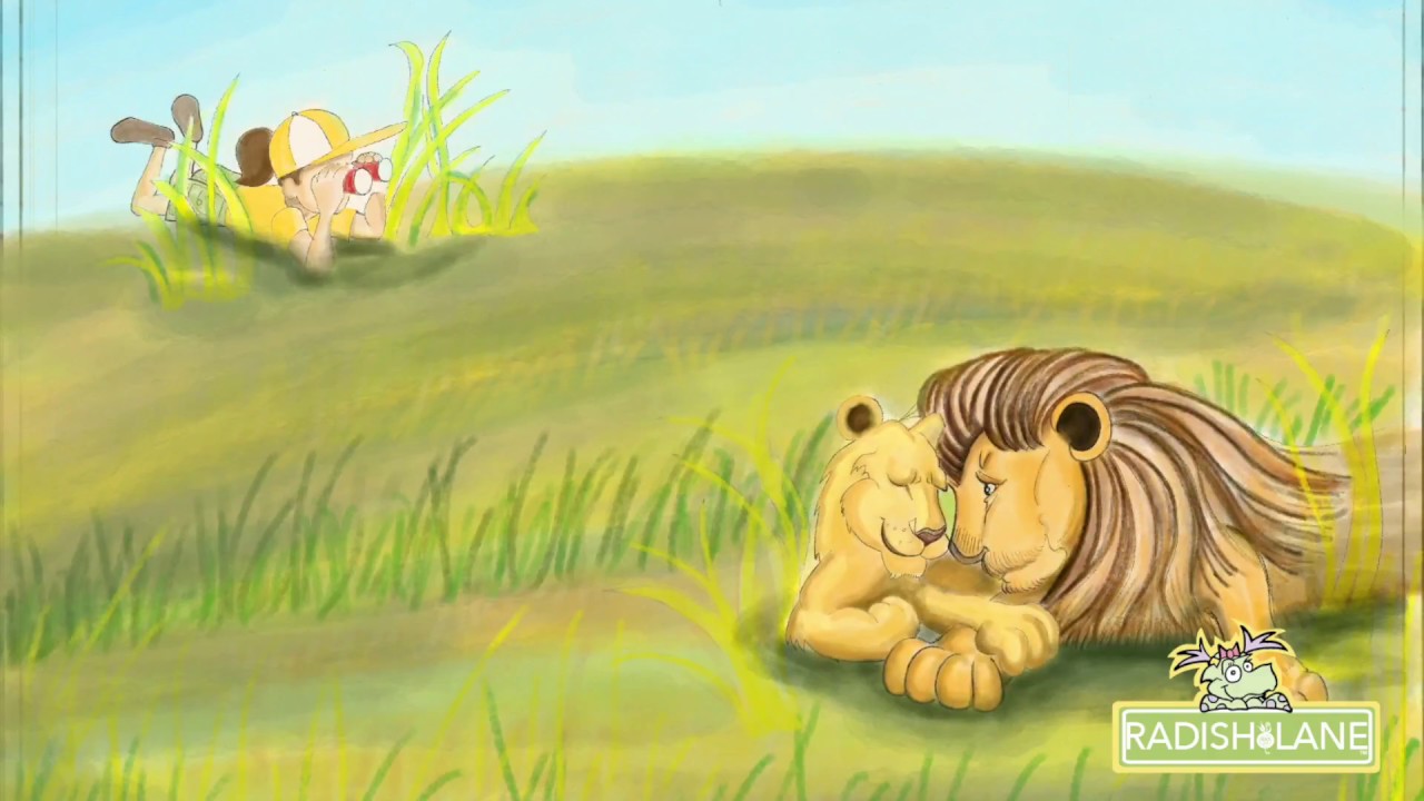 How Picture Books are Made: Be Kind to Lions! - YouTube
