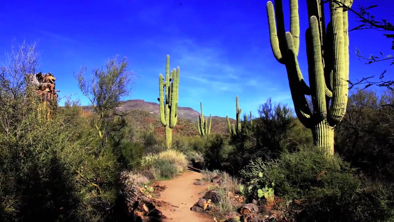 Phoenix az scenery - YouTube