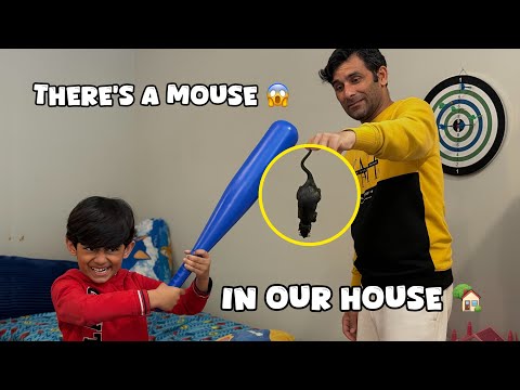 There's a MOUSE in the HOUSE ! 🐭