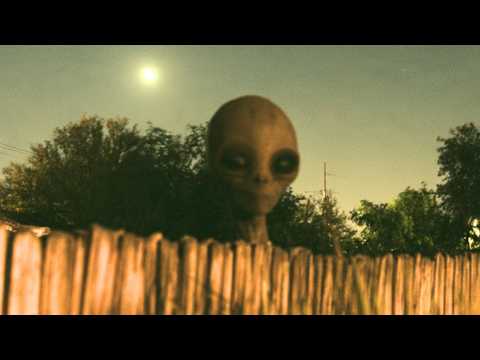 The Las Vegas Backyard Alien