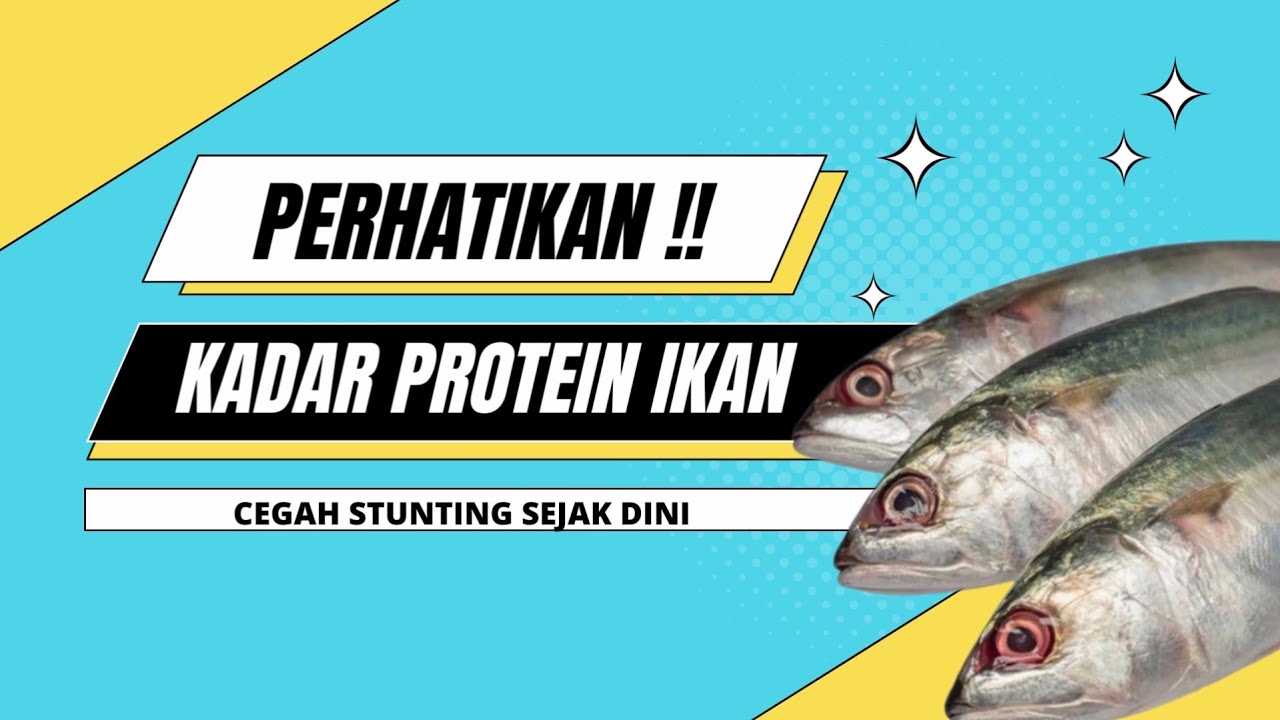 Cegah Stunting Dengan Memperhatikan Kadar Protein Ikan - YouTube