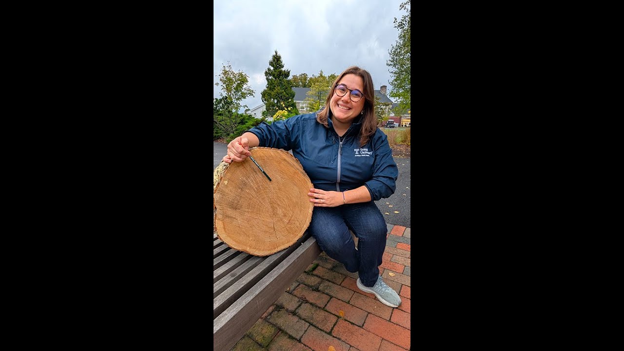 Ambler in Bloom Preview: Hands-on Connections — Tree Ring Storytelling ...