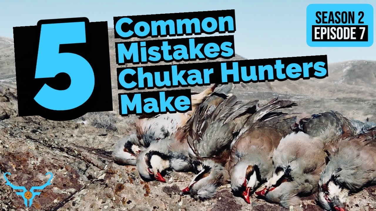 Chukar Hunting Tips - 5 Common Mistakes Chukar Hunters Make! - YouTube
