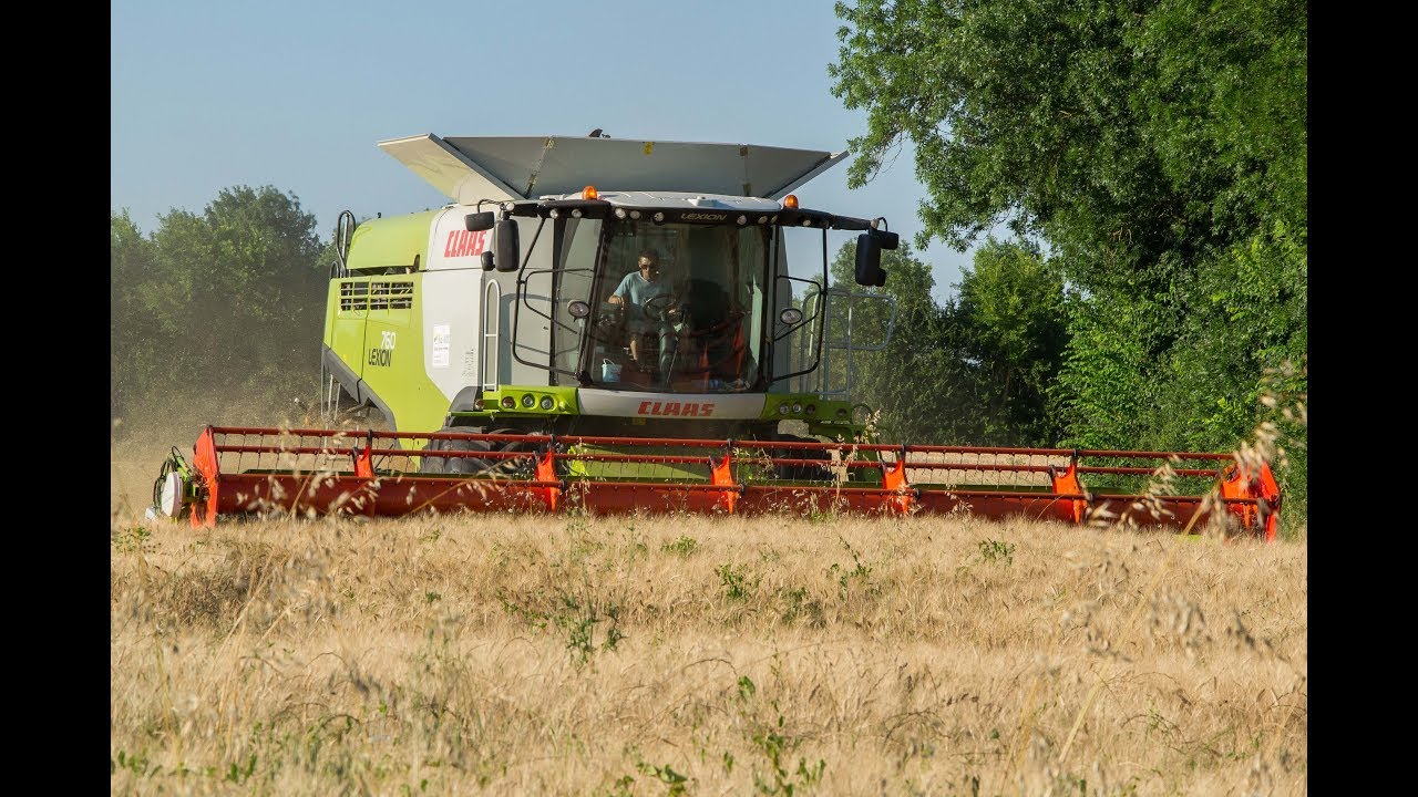 Claas Lexion 760 à la moisson du blé dur - ETA Faurie Pascal - YouTube