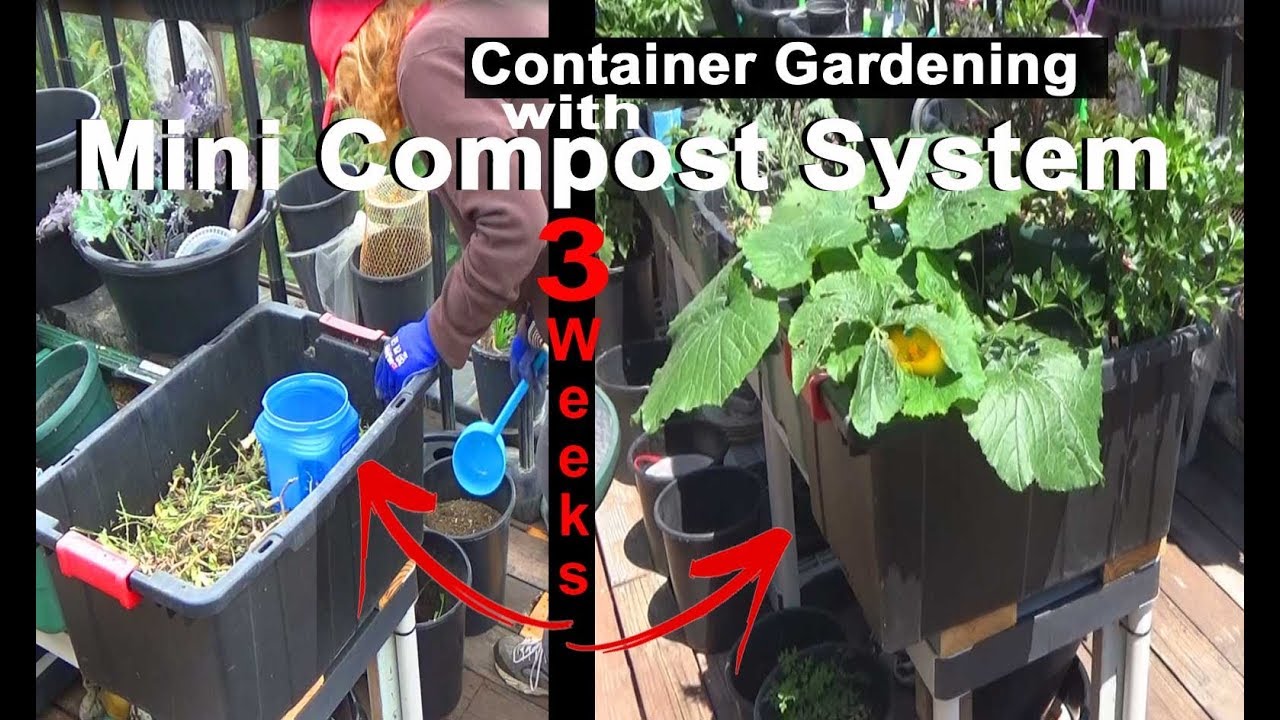 Set Up-GROWING Container Gardening with Compost in Place-Mini Worm Farm ...