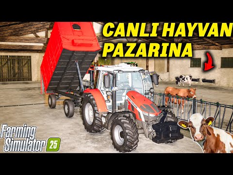 HOF BERGMANN HAYVAN PAZARI // TARLA NADASLAMA // HAYVAN BESLEME İŞLERİ // FARMİNG SİMULATOR 25