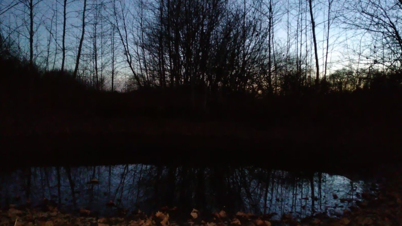 RETURN TO THE HAUNTED POND (UNEDITED) - YouTube