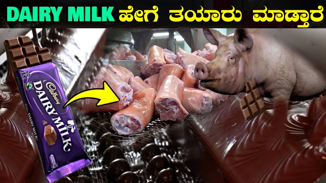 Dairy Milk Chocolate ಹೇಗೆ ತಯಾರು ಮಾಡ್ತಾರೆ | How Cadbury Chocolate Made ...