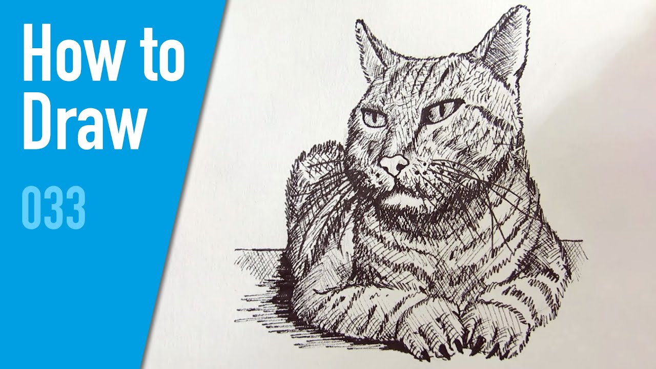How to Draw a Cat (Chapter 033) - YouTube