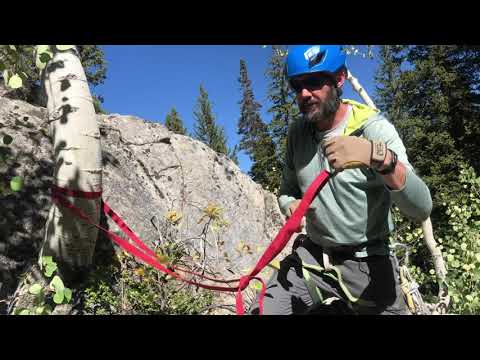 Natural Anchors for Backcountry Rope Rescue - YouTube