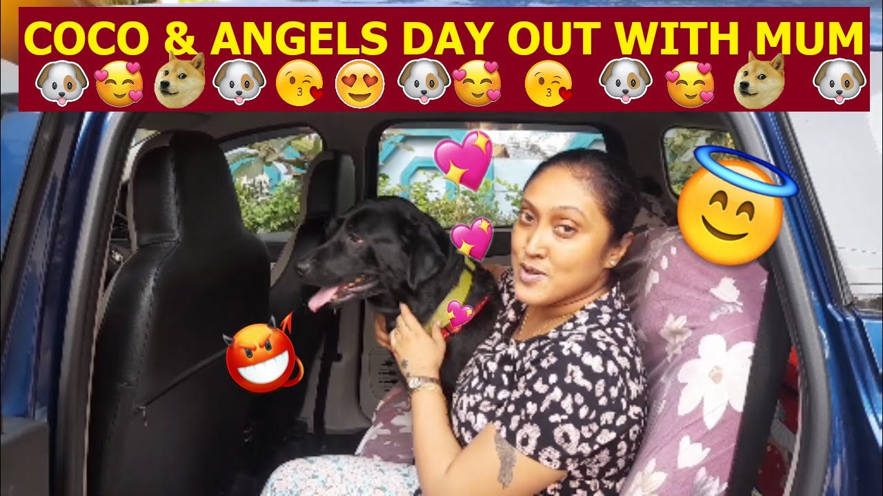 COCO & ANGEL HAD A VISIT TO THE VET CLINIC💉| WATCH HOW MUM & DAD ...