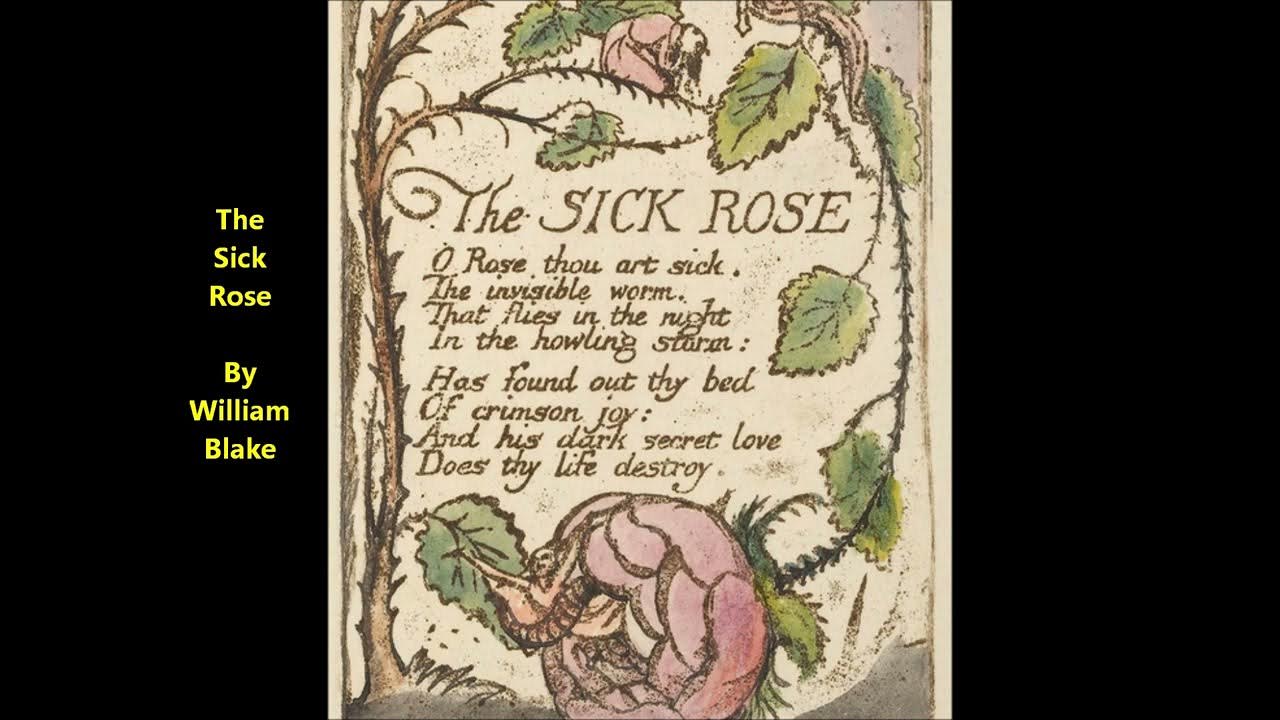 "The Sick Rose" William Blake poem = O Rose thou art sick.The invisible ...